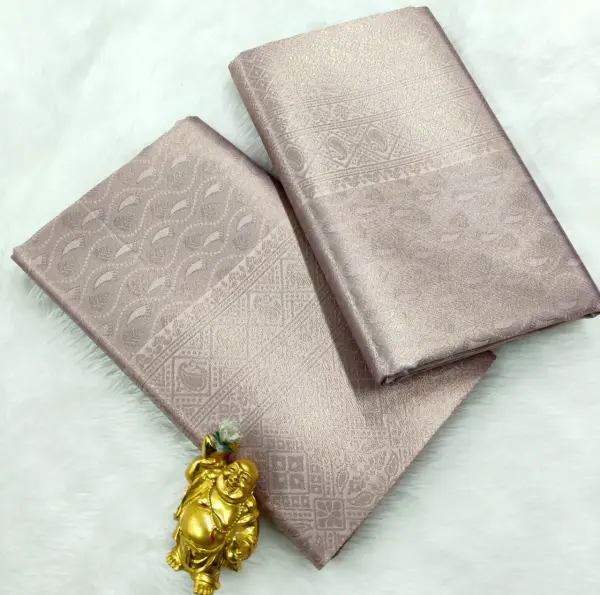 Aster Silk - Exclusive Silk Sarees